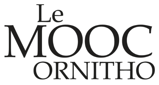 Mooc Ornitho: Formation en ornithologie | Mooc Ornitho
