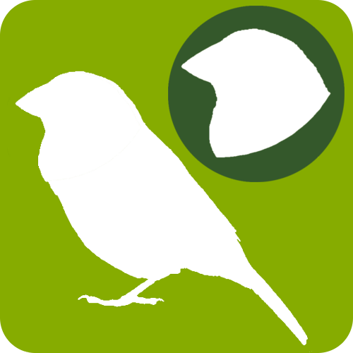 Cours : Id01 - Cours 06 : granivores | Mooc Ornitho