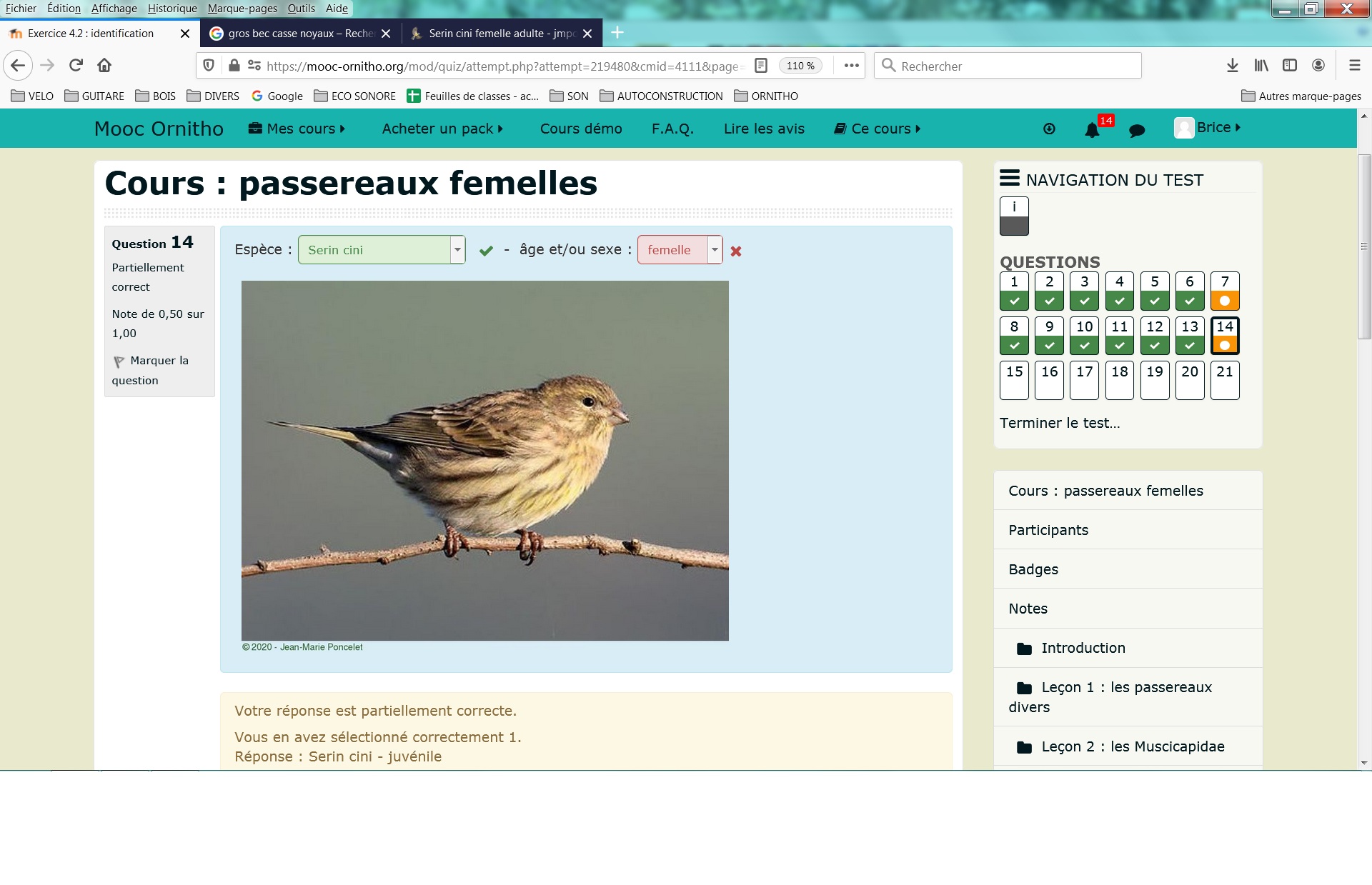 Forum | Mooc Ornitho