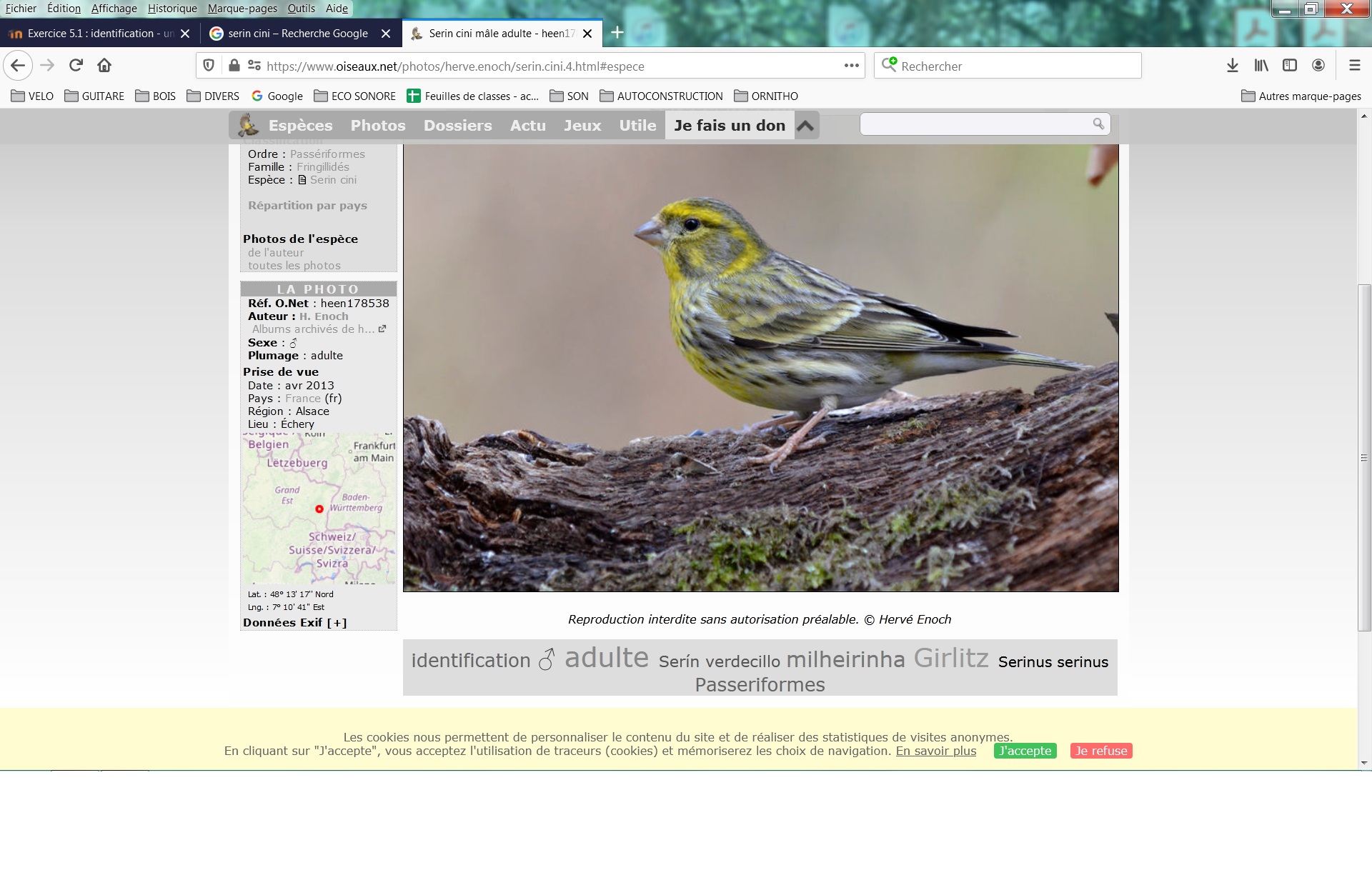 Forum | Mooc Ornitho