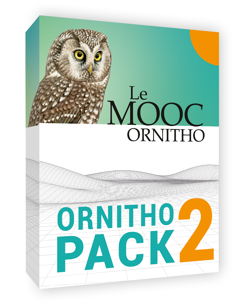 Mooc Ornitho: Formation en ornithologie | Mooc Ornitho